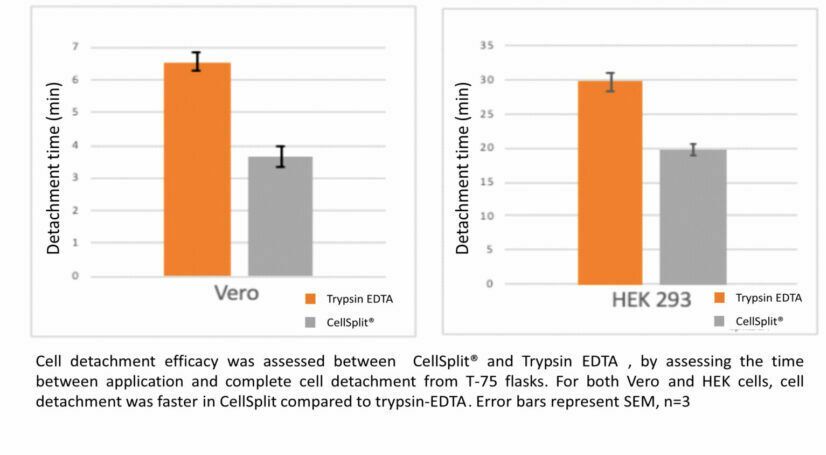CELLSPLIT®